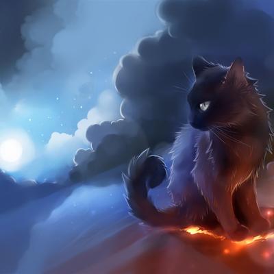Abstract cat fire-2017 High Quality Wallpaper - KDE Store