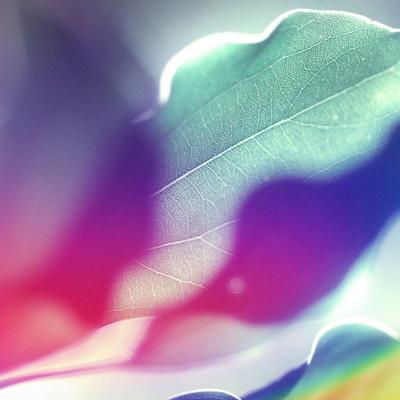 Colorful leaves under the sun-abstract design .. - KDE Store