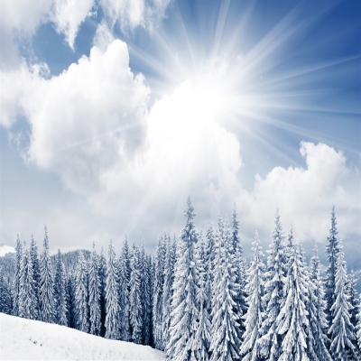 Forest beautiful snowy nature winter-Landscape.. - KDE Store