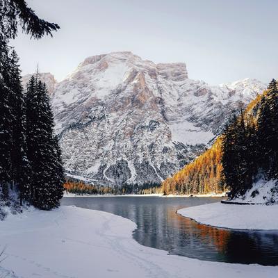 Snow Mountains Forest River Sunshine Scenery 5.. - KDE Store