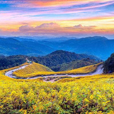 Winding Mountain Road Sunflower Field Sunset T.. - KDE Store