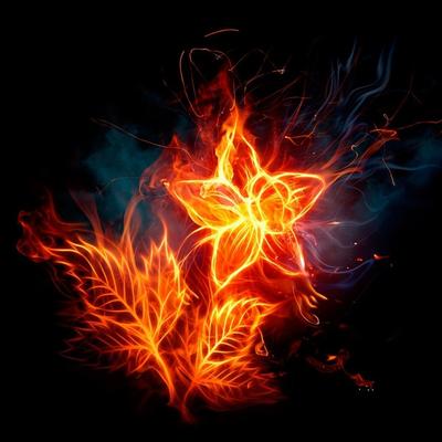 flower fire-Abstract design wallpaper - KDE Store