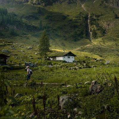 Alpine Green land Village 2020 Nature Scenery .. - KDE Store