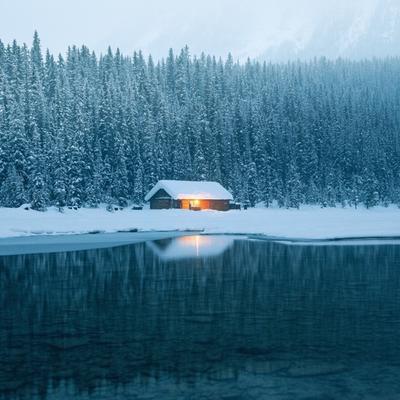 Jungle winter trees ice snow-Nature scenery wa.. - KDE Store