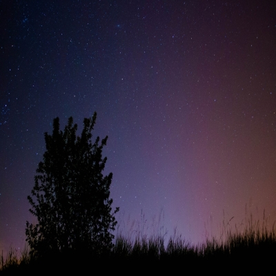 night sky with tree-Nature HD Wallpaper - KDE Store