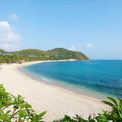 beach palm trees-Nature Photo Wallpaper - KDE Store