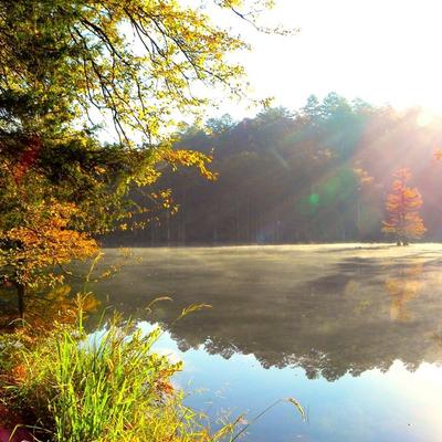 light sun modulations lakewood-Nature HD Wallp.. - KDE Store