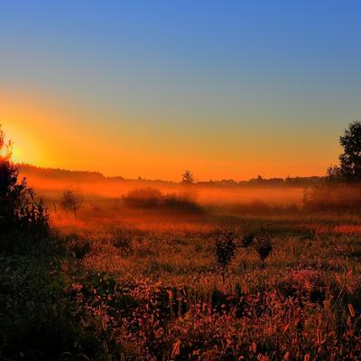 sun lighting field orange-nature HD wallpaper - KDE Store