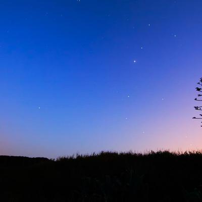 Dusk Tree-Nature Wallpapers - KDE Store