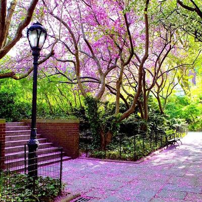 spring park-Nature Landscape HD wallpaper - KDE Store