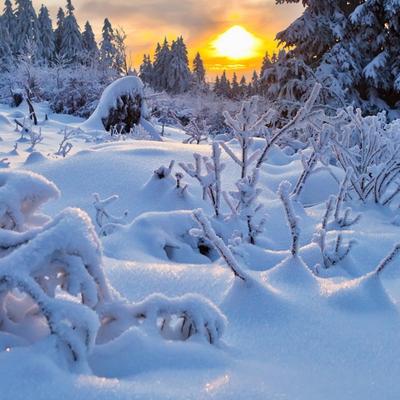 Winter season forest sunset-Landscapes HD Wall.. - KDE Store
