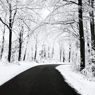 Winter forest clean road scenery-Landscapes HD.. - KDE Store