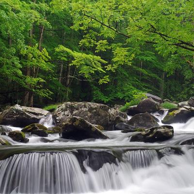 Little Pigeon River Great Smoky Mountains Nati.. - KDE Store