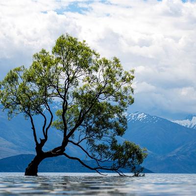 Lake Tree Snowy Mountains Clouds Fairyland 5K - KDE Store