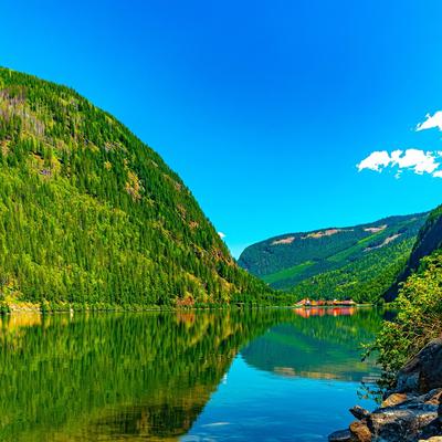 Green Forest Mountains Rivers Valley Summer 5K - KDE Store