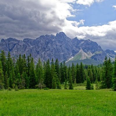 National Forest Park Mountains Pine Trees Gras.. National_Fo - KDE Store