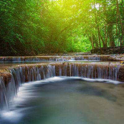 Spring Jungle River 2022 Dream Places 5K Photo - KDE Store