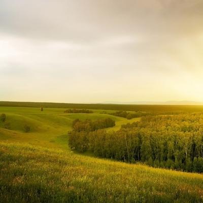 Landscape Summer Field Forest Rain-Nature HD W - KDE Store