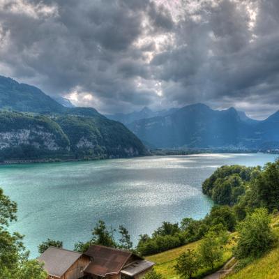 Brown Wooden House Near Green Trees - KDE Store