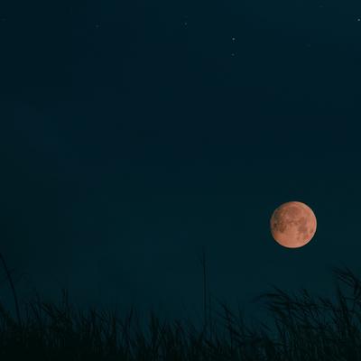 Full Moon - KDE Store