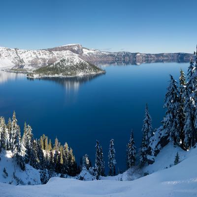 Green Pine Trees on Snow Covered Mountain - KDE Store