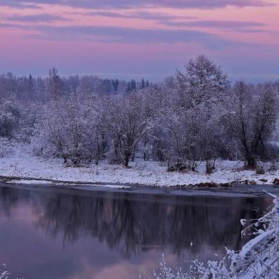 Snow Covered Trees Beside River - KDE Store