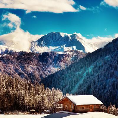 Brown Wooden House Near Green Trees and Mountain - KDE Store