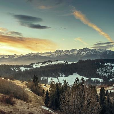 Green Trees and Mountains Under Blue Sky - KDE Store