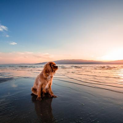 Beach Full HD - KDE Store