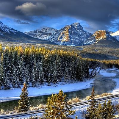 Green Pine Trees Near Snow - KDE Store