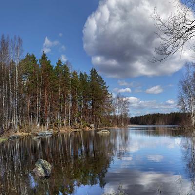 Green Trees Beside River Under Blue Sky - KDE Store