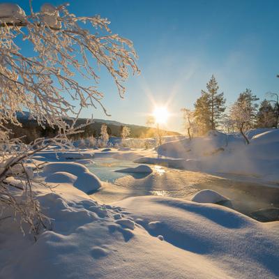 Snow Covered Field With Trees - KDE Store