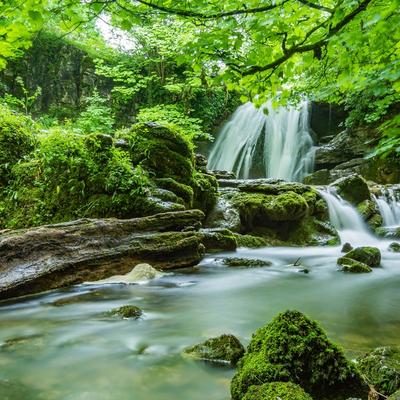 Forest Waterfall Green Woods 2020 Nature Deskt.. - KDE Store