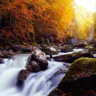 Switzerland Autumn Jungle River 2020 Nature Sc.. - KDE Store
