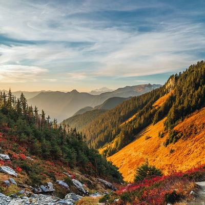 Autumn Tree Mountains 2020 Nature HDR Photogra.. - KDE Store