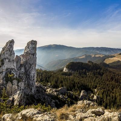 Nature Landscape Forest Tree Rock Horizon - KDE Store