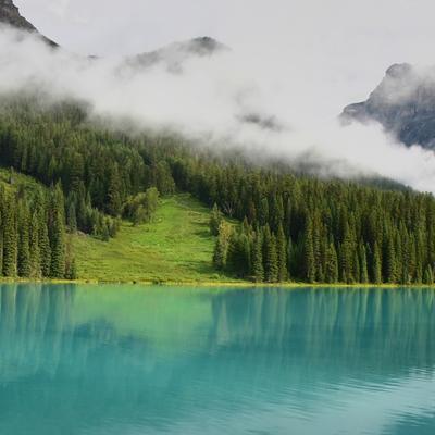 Forest lake landscape sky summer Nature Wallpa.. - KDE Store