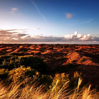 Germany Spiekeroog Island Nature Landscape Wal.. - KDE Store