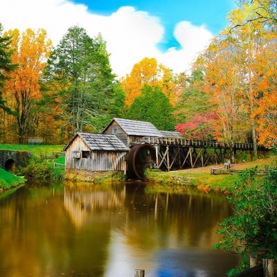 Mill on the River and colorful autumn forest-N.. - KDE Store