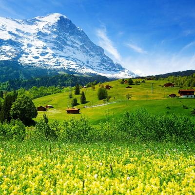 Switzerland mountains meadows wildflowers-Natu.. - KDE Store
