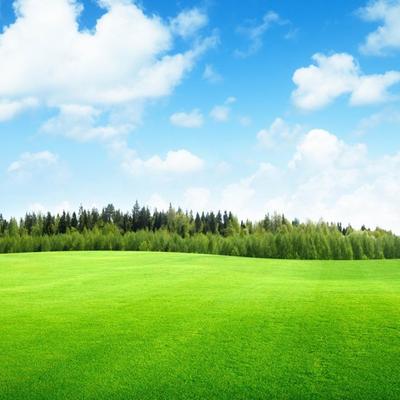 beautiful green grass-Nature Desktop Wallpaper - KDE Store