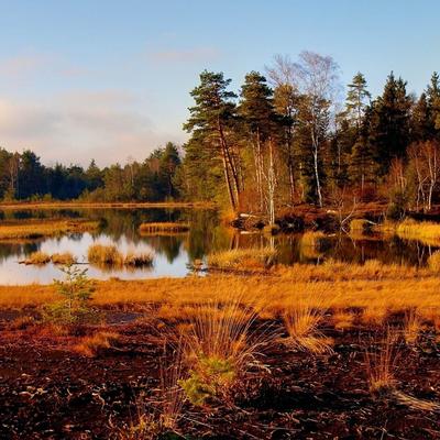 grass river trees autumn nature-seasons HD wal.. - KDE Store