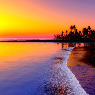 beach tropics palm trees sunset-nature HD wall.. - KDE Store