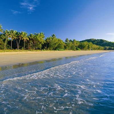 beach tropics palm trees-nature HD wallpaper - KDE Store