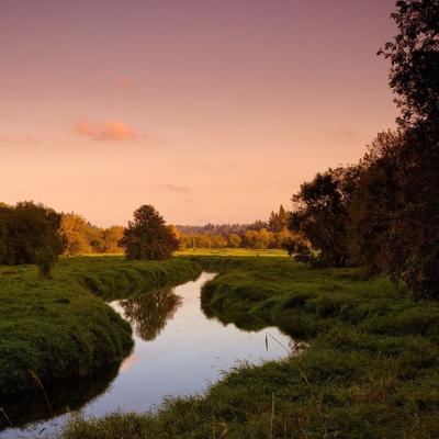 trees river channel grass summer-Beautiful Nat.. - KDE Store