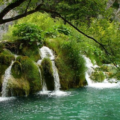 river trees-Nature Landscape HD wallpaper - KDE Store