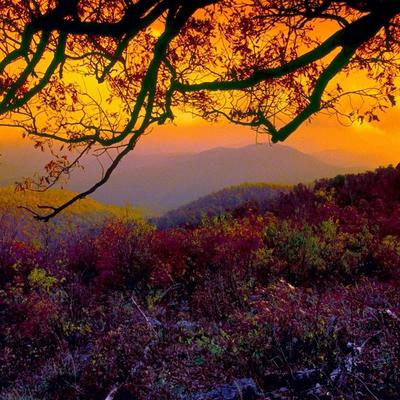 dusk-Autumn Nature Wallpapers - KDE Store