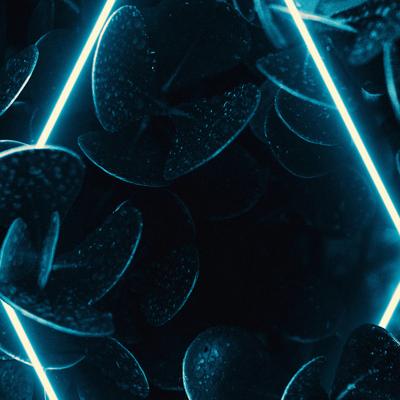 Fractal Art - KDE Store