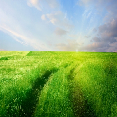 Green Grass Field Under Blue Sky During Daytime Full HD - KDE Store