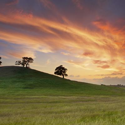 Green Grass Field Under Orange and Blue Sky Full HD - KDE Store